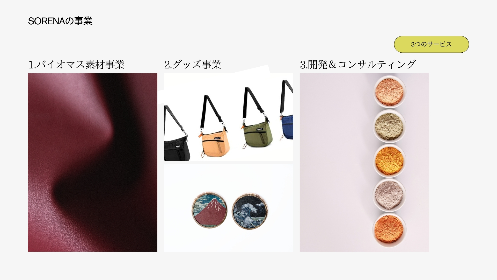 事業紹介 | SORENA